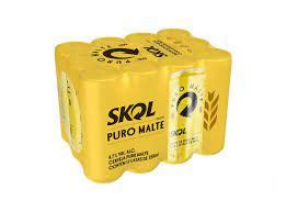 Fardo Cerveja Skol Puro Malte Lata 350 Ml Hville Bebidas
