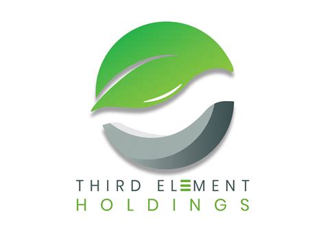 training and development third element group