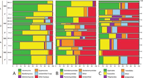 Proportional Distribution Of Different Taxonomic Groups In Its Clone