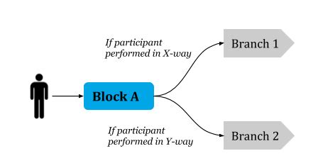 Tutorial Conditional Branching FindingFive Community Update