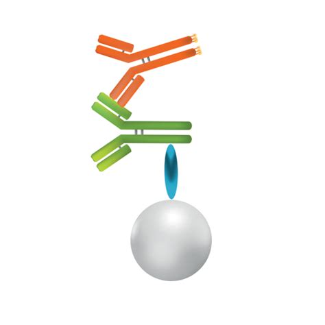 Gyrolab 2g Generic Pk Kit Automated Immunoassays