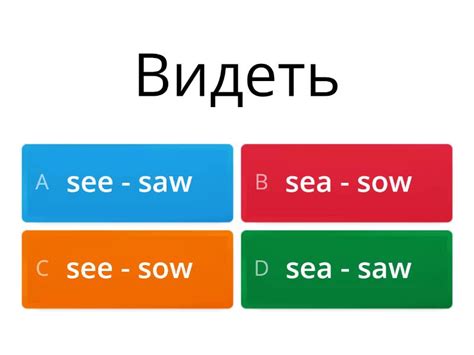 Irregular Verbs Spotlight 4 Module 5 And 6 Quiz