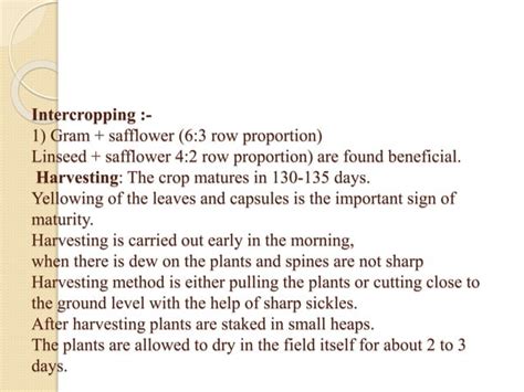 Safflowerpptx Details Cultivation Practices Of Safflower Pptx