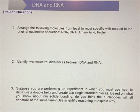 Solved DNA And RNA Pre Lab Questions 1 Arrange The Chegg Com