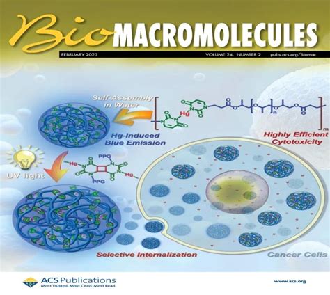 Abere Habtamu On Linkedin Our Latest Article Graphics Abstract Which