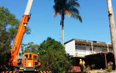 Tree Services Sydney Alex Tree And Garden Services