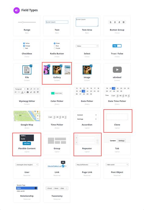 Custom Post Types And Theme Builders Part 1 Cpt Ui And Acf Webtng