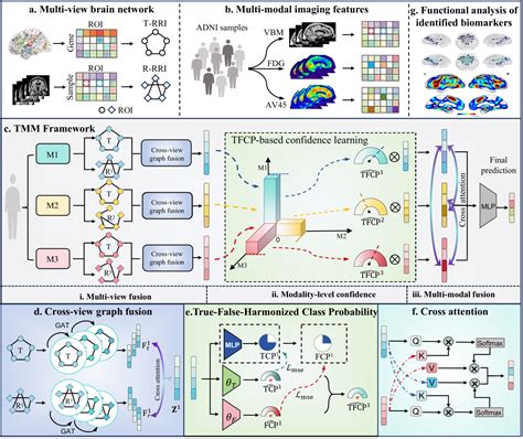 trustworthy enhanced multi view multi modal alzheimer s disease