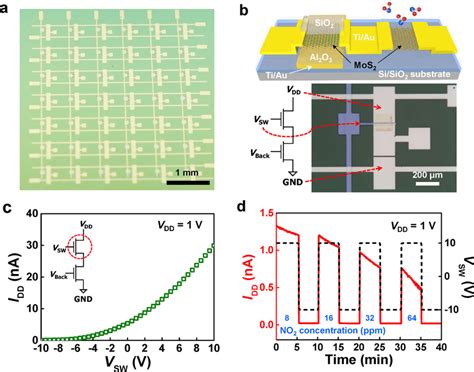 Mos2 Tfts Based Gas Sensor Active Matrix A Image Of Mos2 Gas Sensor Download Scientific Diagram