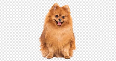 A Guide To Illustrator Alpha Masks Retouching Labs