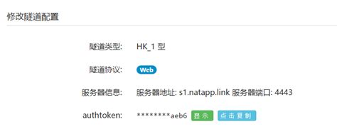 路由器公版ngrokc插件使用说明 NATAPP 内网穿透 基于ngrok的国内高速内网映射工具