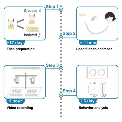 Cell Press Star Protocols