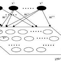 Self Organizing Map Conventional Feature Mapping Network The Inputs