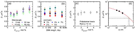 A B Translational Diffusion Coefficient Of Dna Globules Bound To