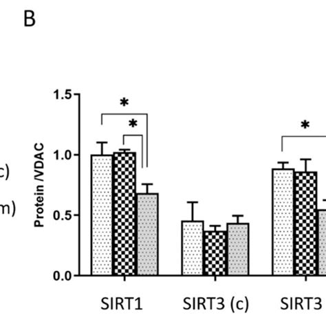 Analysis Of The Sirtuin Proteins Activity And Expression Download Scientific Diagram