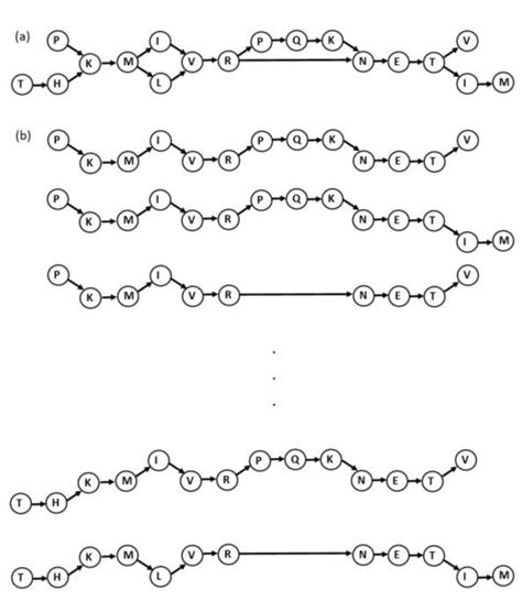 A Variation Graph Of Two Sequences B Variation Graph Broken Download Scientific