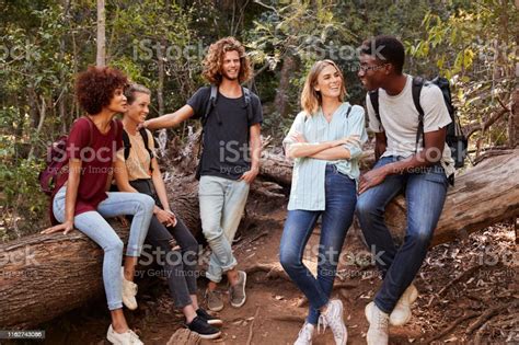 쓰러진 나무에 쉬고 말하는 숲에서 하이킹하는 젊은 성인 친구 전체 길이 여자에 대한 스톡 사진 및 기타 이미지 여자 우정