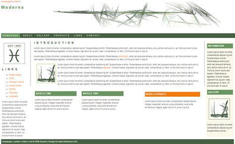 free stylized website template free website templates html5 and css