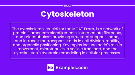 Cytoskeleton Notes And Practice Questions Mcat Examples