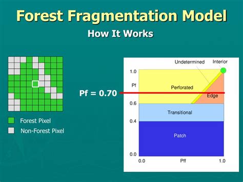 Ppt Assessing The Impact Of Land Cover Spatial Resolution On Forest Fragmentation Modeling