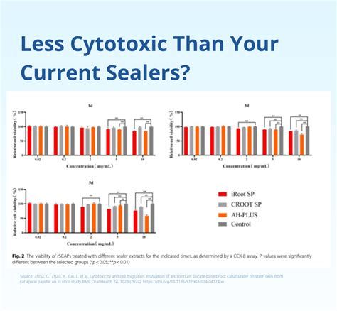 C Root Sp Bioceramic Root Canal Sealer C Root Dental Medical