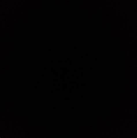 Viete Kto Vás Nezradí Kone A Psi