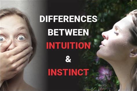 Intuition Vs Instinct The Clear Differences