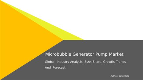 Microbubble Generator Pump Market Report Global Forecast From 2025 To