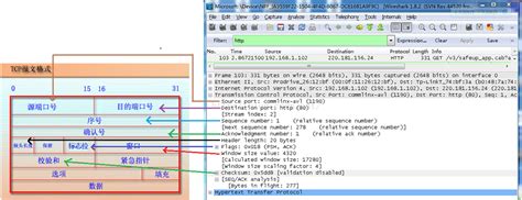 tcp标志位syn ack fin以及序列号 seq 响应号 ack fin标志位 csdn博客