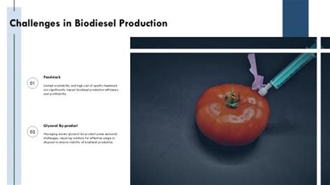 Biodiesel Production Powerpoint Presentation And Slides Ppt Sample