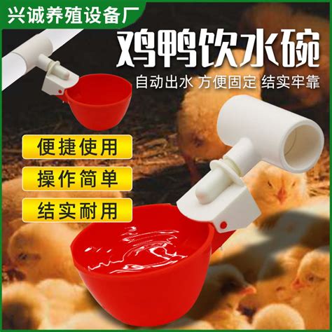 新型鸡用饮水器自动喂水器鸡鸭饮水碗家禽通用饮水器养殖场喝水碗 阿里巴巴