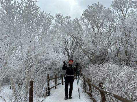 소백산 등산코스 천동 비로봉 어의곡코스 삼일절 기념 산행 네이버 블로그