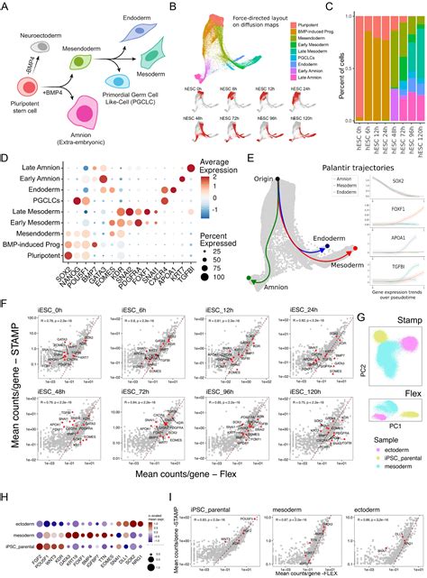 Stamp Single Cell Transcriptomics Analysis And Multimodal Profiling Through Imaging Cell