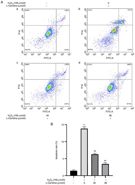 Cell Apoptosis Analysis Through Flow Cytometry A Representative Flow Download Scientific