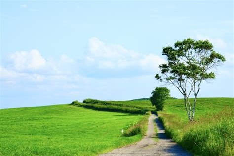 【cobol】evaluate文で複雑な条件分岐を実装する コーディングライフスタイル 【cobol】evaluate文で複雑な条件分岐を実装する コーディングライフスタイル