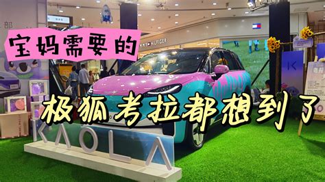 宝妈需要的极狐考拉都想到了凤凰网视频凤凰网