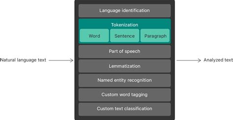 natural language apple developer documentation