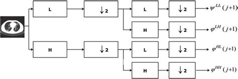 Computation Of Dwt Features From Chest Ct Image Download Scientific