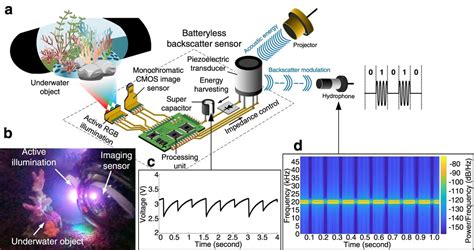 Mit Engineers Made A Battery Free Wireless Camera That Works For Weeks Underwater