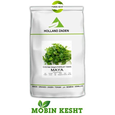 بذر جعفری مایا هلند زادن مبین کشت