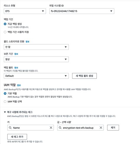 암호화 되지 않은 Amazon EFS 암호화 하기 DevelopersIO
