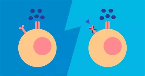 Type 1 Vs Type 2 Diabetes 4 Similarities And 3 Differences Myt1dteam