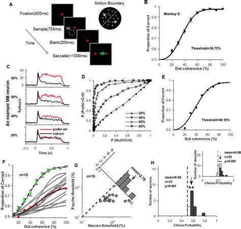 Figures And Data In Processing Of Motion Boundary Orientation In Macaque V2 Elife