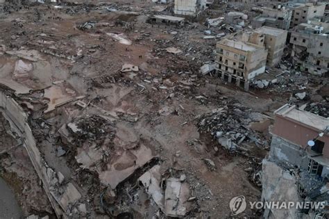 Who·적십자 시신이 전염병 유발은 오해…존엄한 관리 필요 파이낸셜뉴스