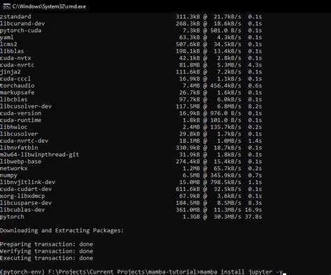 Setting Up A Local Python Environment With Mamba For Machine Learning