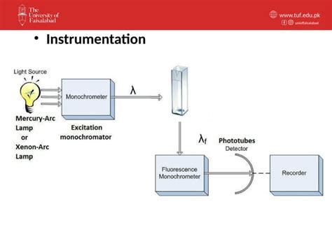 7 Molecular Fluorescence Spectroscopypptx