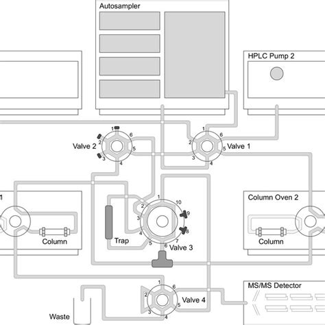 Tested Columns During 2D LC MS MS Method Development Download Scientific Diagram