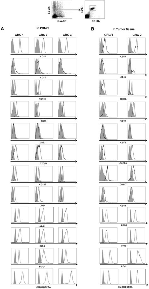 Phenotypes Of Hla Dr − Cd33 Cd11b Mdscs In Crc Patients