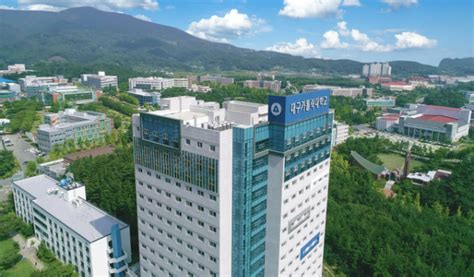 대구가톨릭대 2023학년도 수시모집 경쟁률 평균 5 5대 1 노컷뉴스