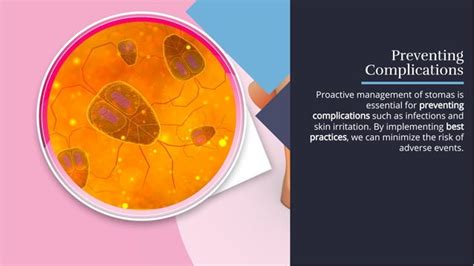 Stoma Care Presentation Nursing Guide And Pdf